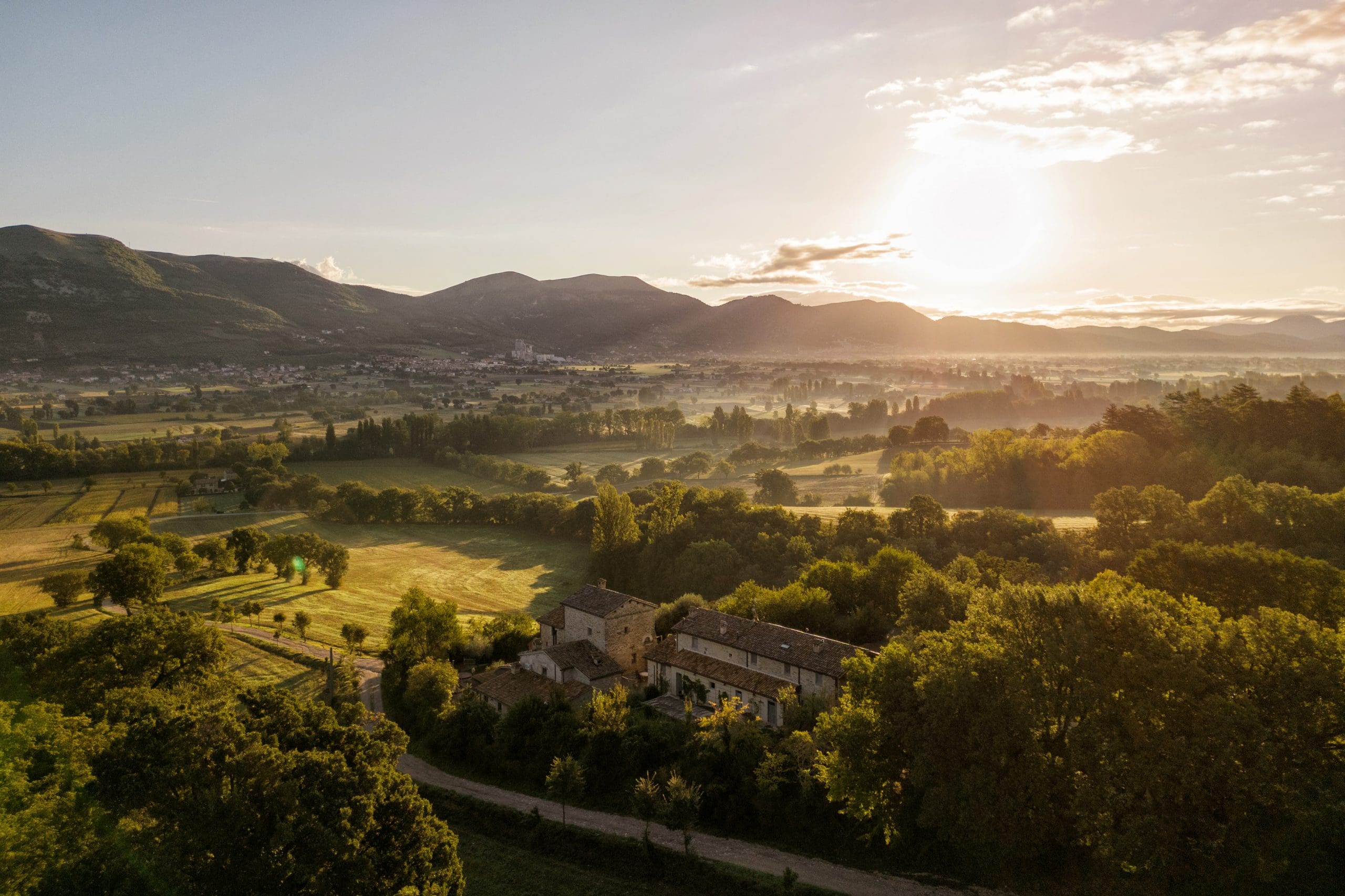 Graziani Maria Oda - Evo Umbria Oil